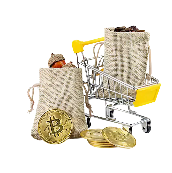 Explore Regulus Trading Products – Forex, Crypto, CFDs & More
